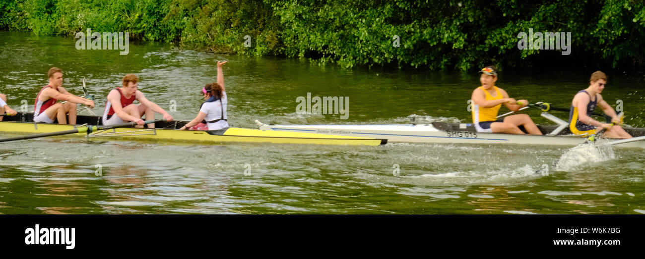 Oxford University Summer Eights 2019 - Rowing Regatta Stock Photo - Alamy
