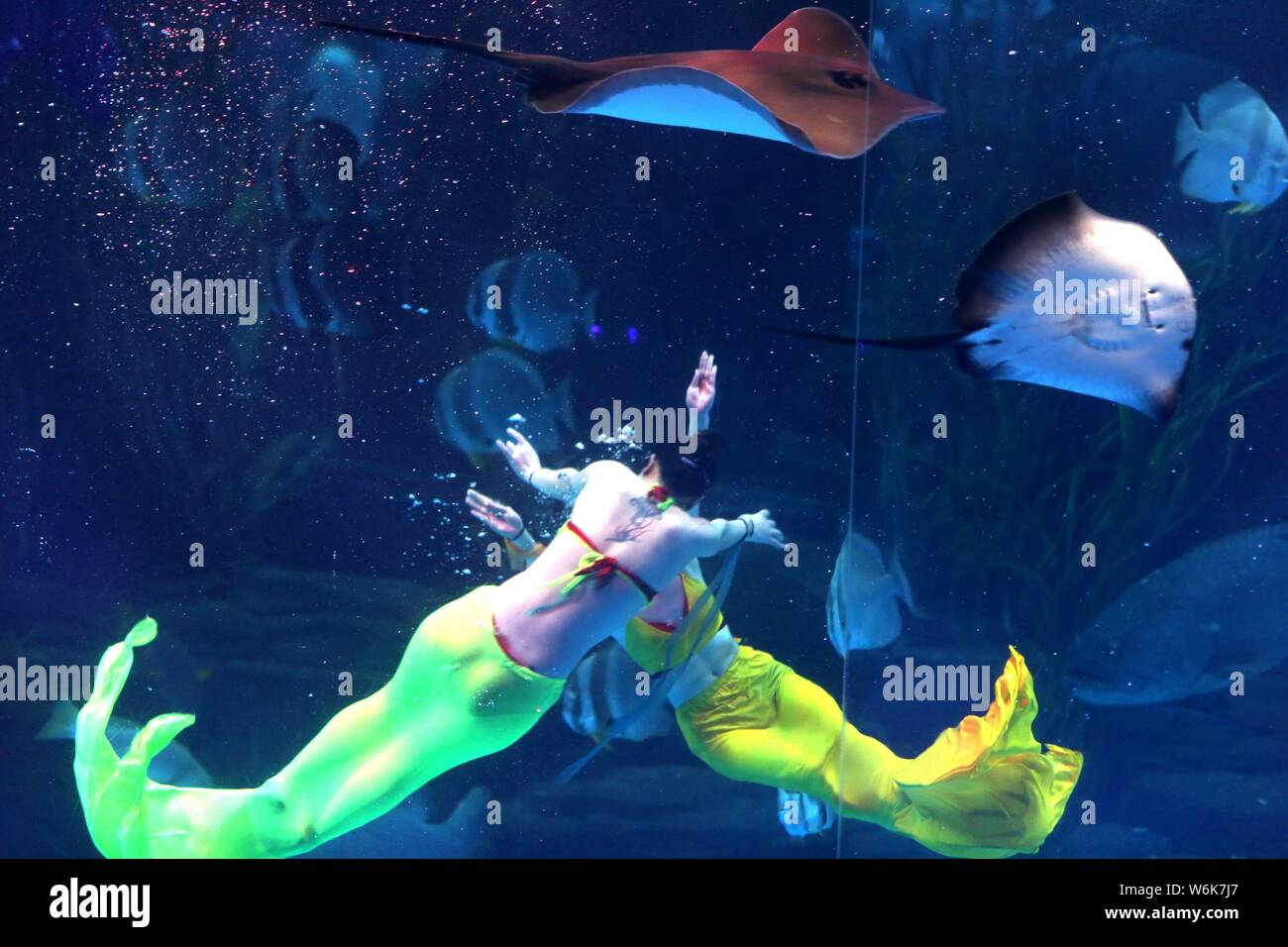 Divers in mermaid costumes perform under water during the Chinese Lunar ...