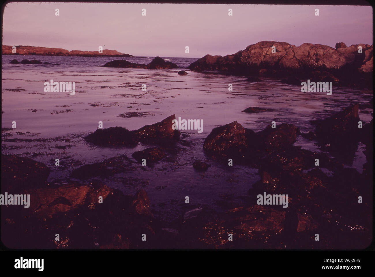 ROCKY SHORE OF RHODE ISLAND SOUND Stock Photo - Alamy