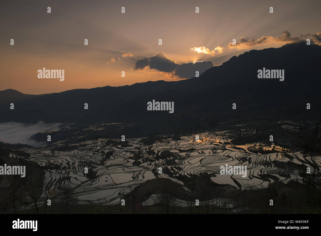 Landscape of terraced rice fields of the Yuanyang rice terraces in the ...