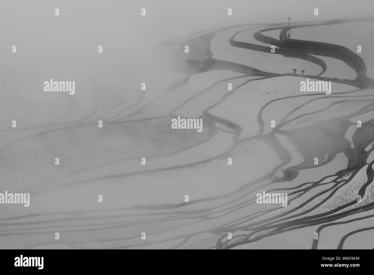 Landscape of terraced rice fields of the Yuanyang rice terraces in the ...