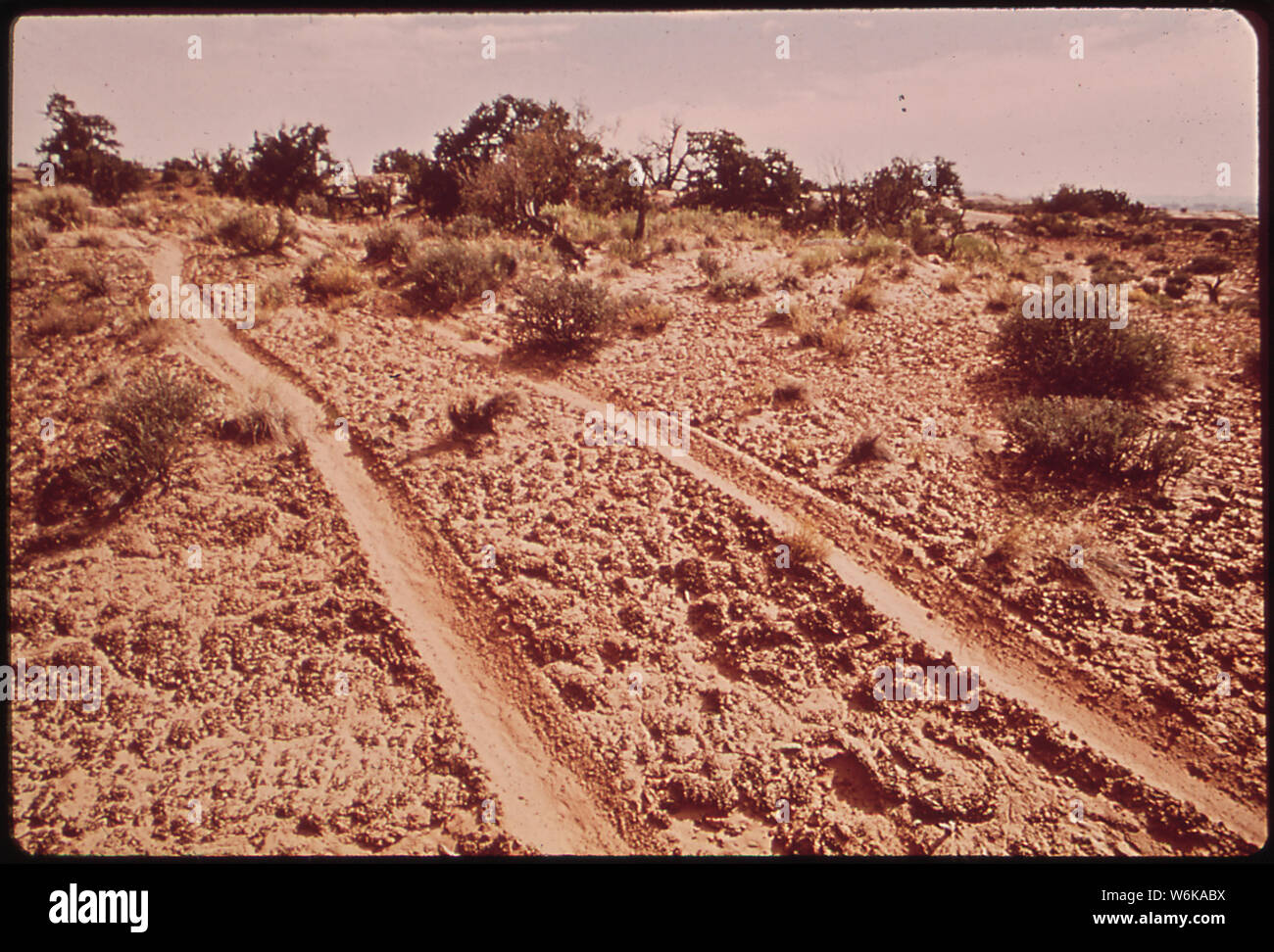 RUTS LEFT BY OFF-ROAD VEHICLE NEAR CHIMNEY ROCK. THE DESERT SURFACE IS ...