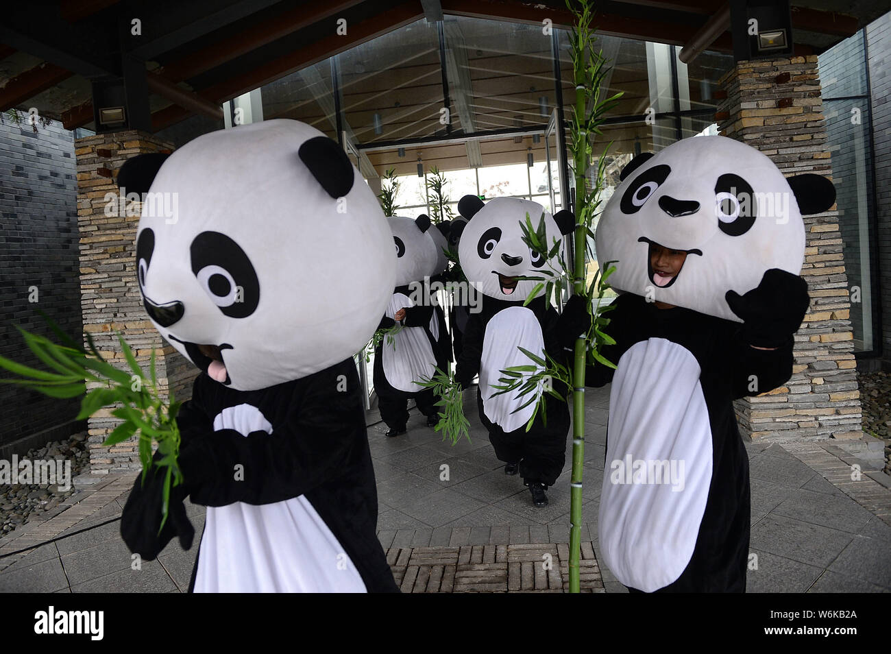 Chinese feeders dressed in panda costumes bid farewell to the pair ...