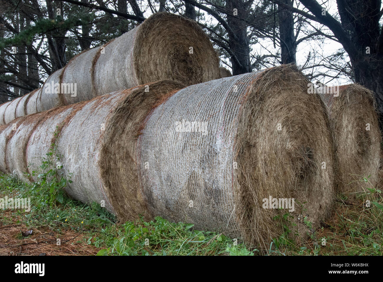 Storage in bales hi-res stock photography and images - Alamy