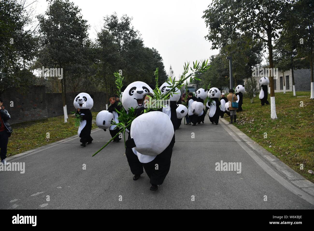 Chinese feeders dressed in panda costumes bid farewell to the pair ...