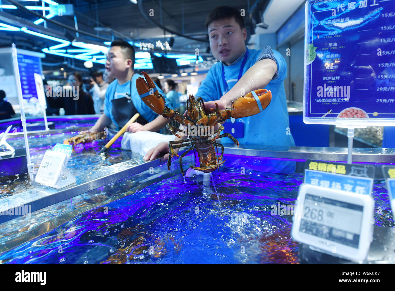 A Chinese employee shows a Boston lobster at the new flagship store of ...