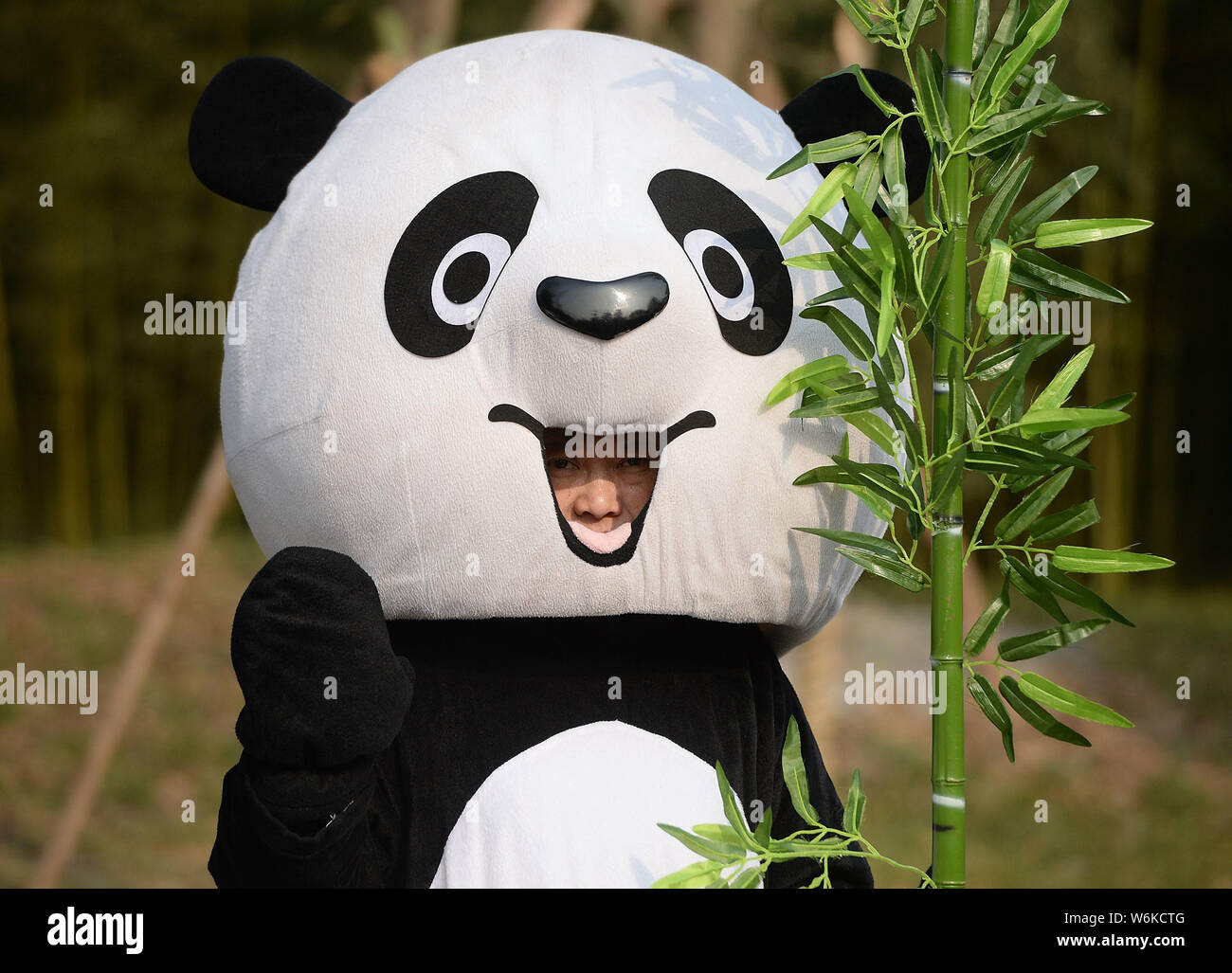 Panda costume hi-res stock photography and images - Alamy