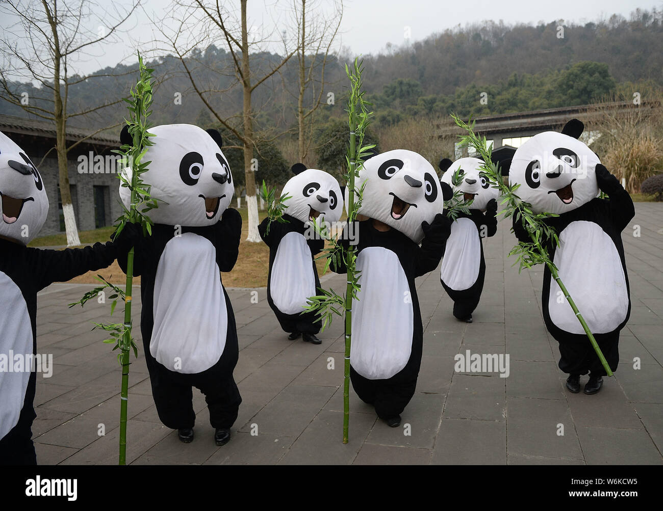 Chinese feeders dressed in panda costumes bid farewell to the pair ...