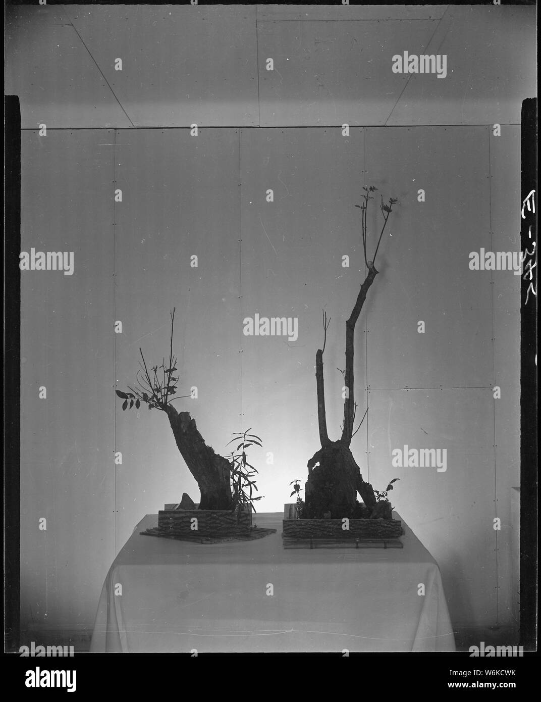 Rohwer Relocation Center, McGehee, Arkansas. Ikebana. An example of the ...