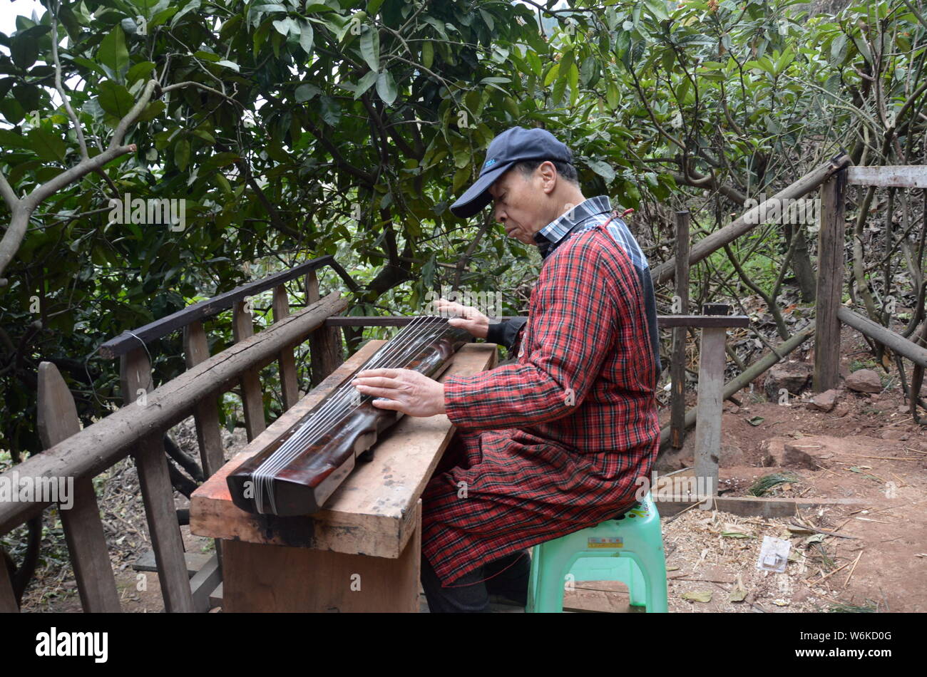 66-year-old Chinese man Yang Guang plays Guqin, a plucked seven-string ...