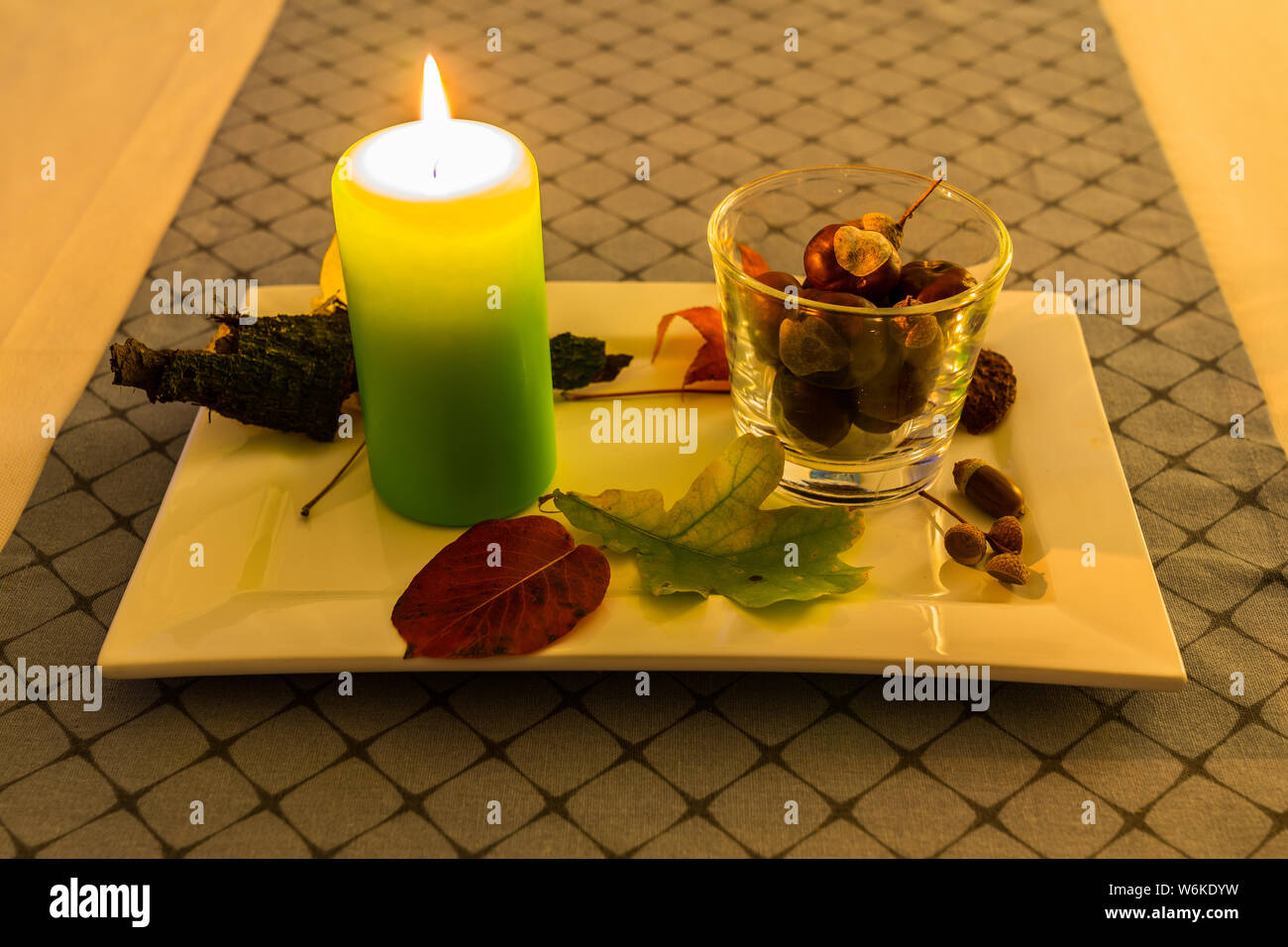 Candle bark tree hi-res stock photography and images - Alamy