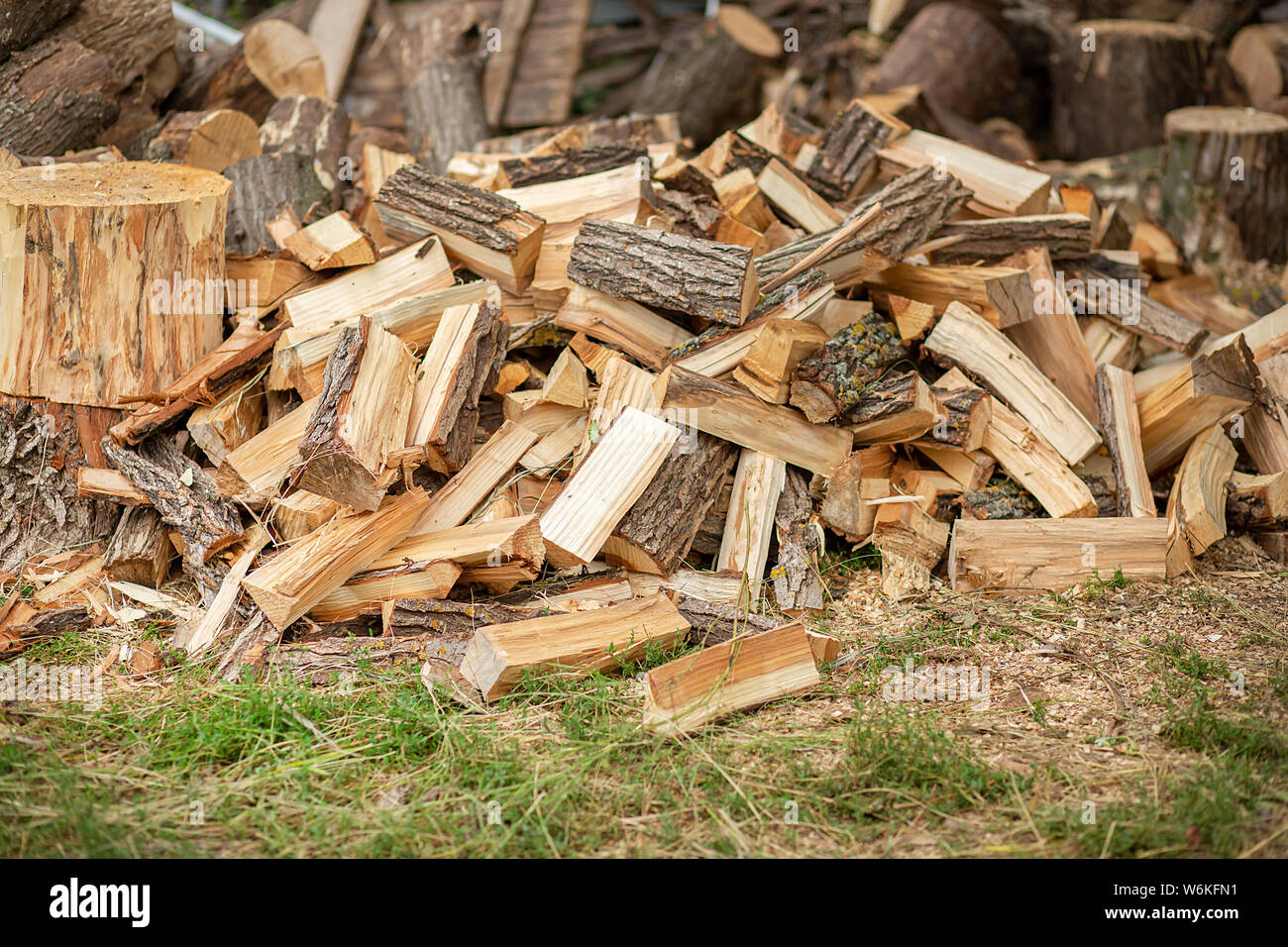 A lot of cut logs. Natural wood decor background. A pile of chopped ...