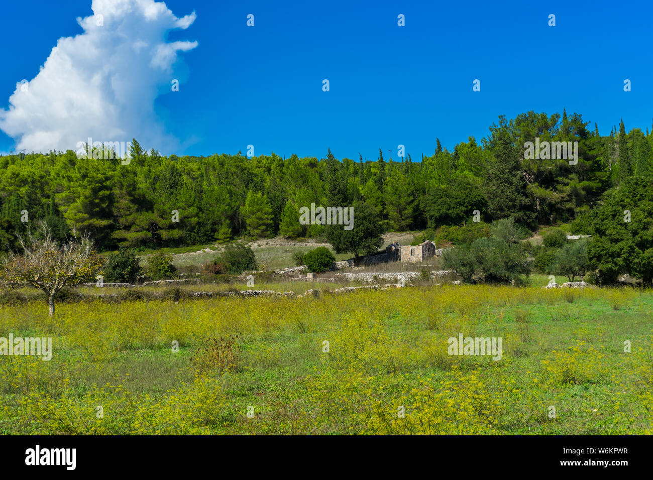 Gyri hi-res stock photography and images - Alamy