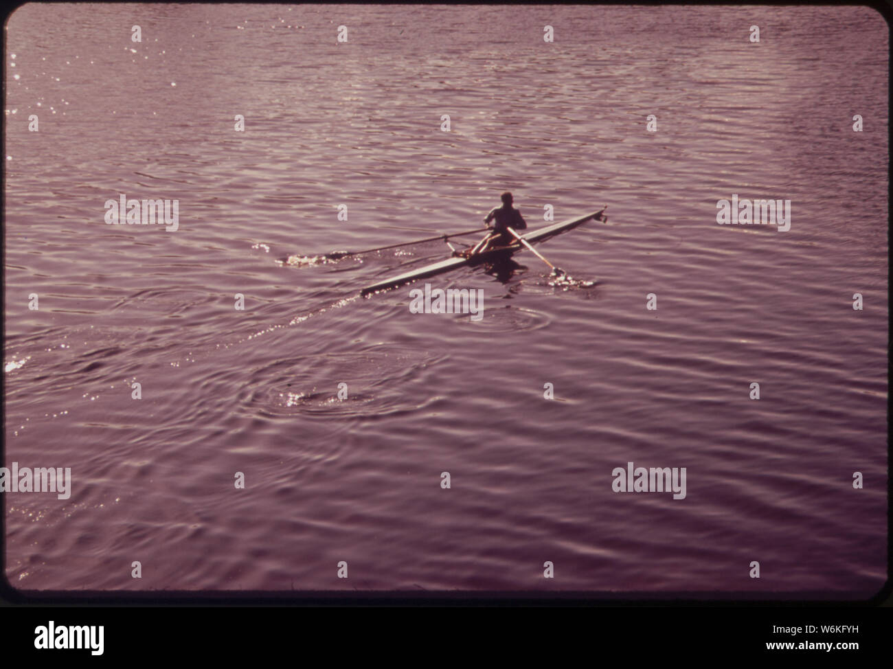 Sculling on charles river harvard hi-res stock photography and images ...