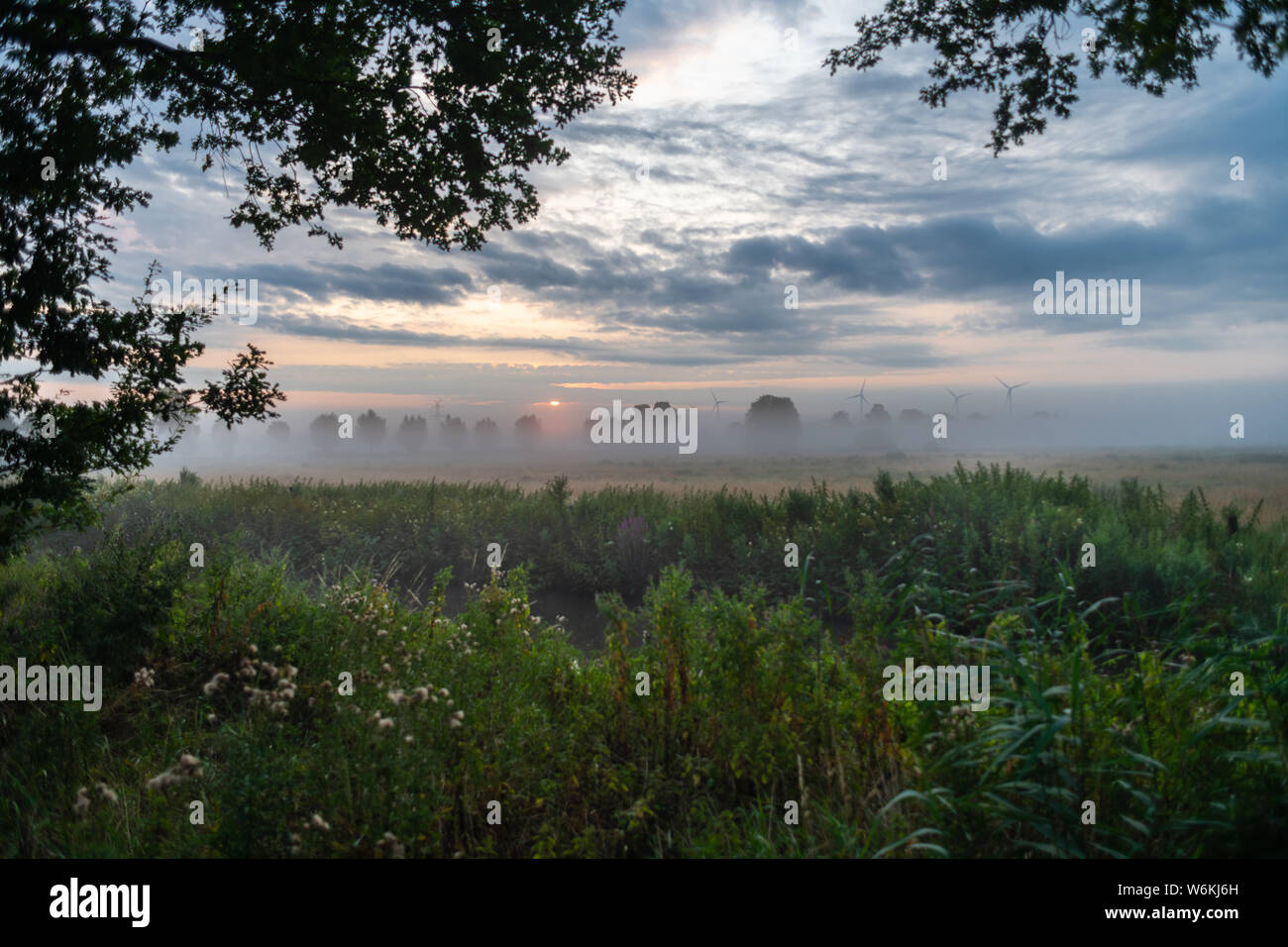 Fog on fields hi-res stock photography and images - Alamy