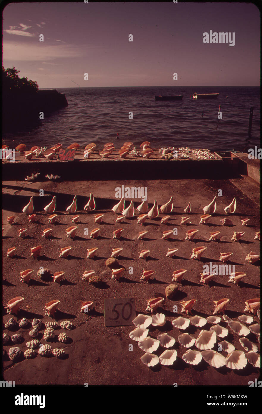 SOUVENIR SEASHELLS ARE LINED UP FOR SALE HERE ON THE SOUTHERNMOST POINT ...