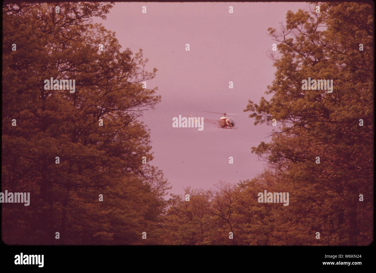 Gypsy moth spraying hi-res stock photography and images - Alamy