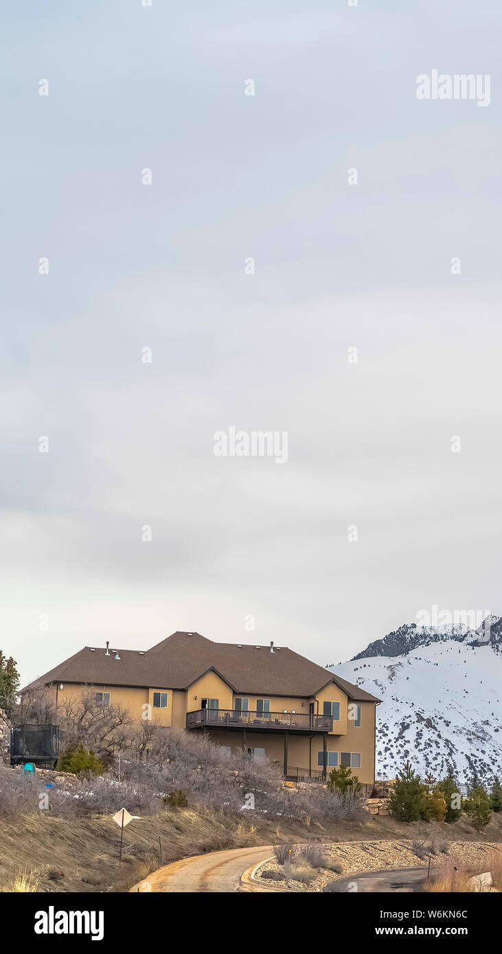 Vertical frame Homes and road on a hill with an overcast sky overhead ...