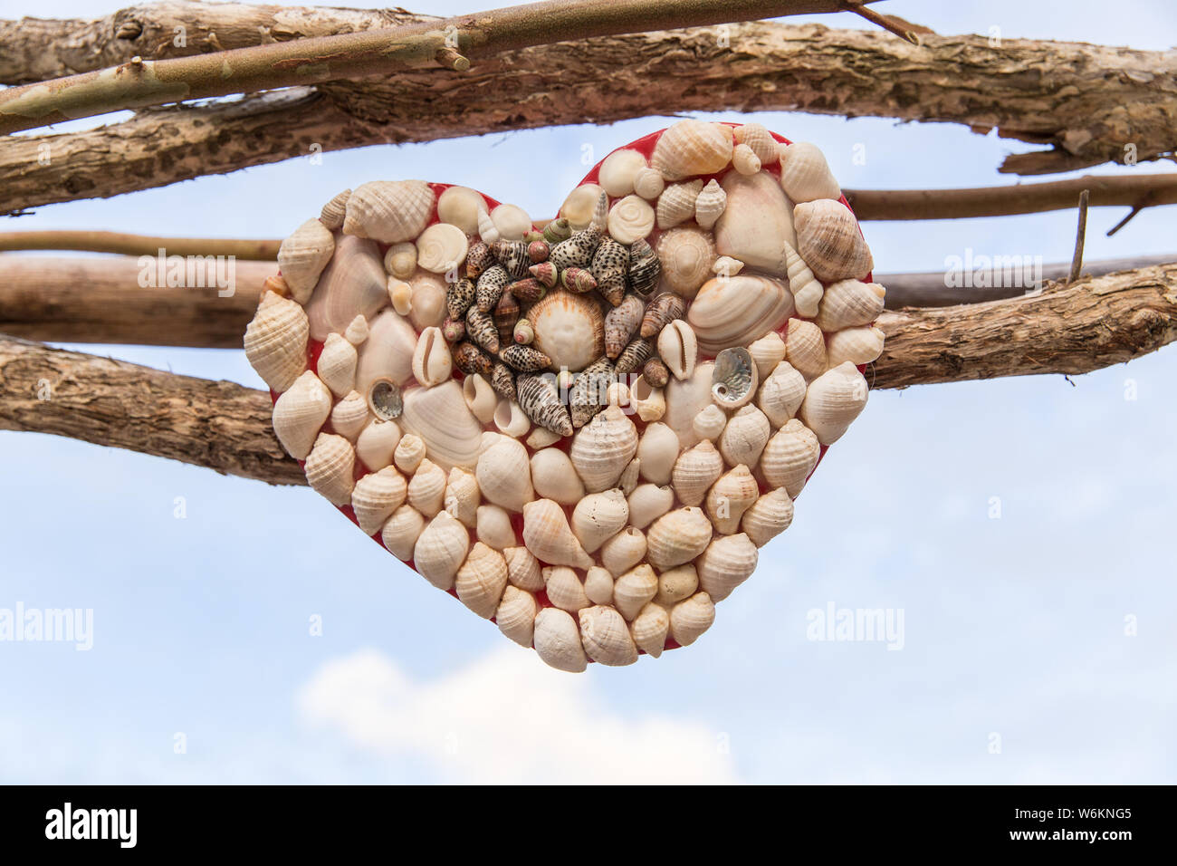 Heart made shells on beach hi-res stock photography and images - Alamy