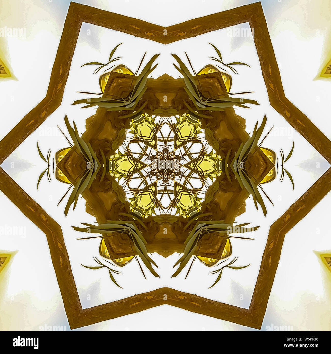 Square Angular hexagonal star made from the wood of a Chuppah Stock ...