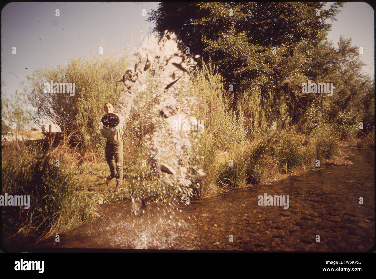 STOCKING FISH AND FISHING IN MERCED RIVER Stock Photo - Alamy