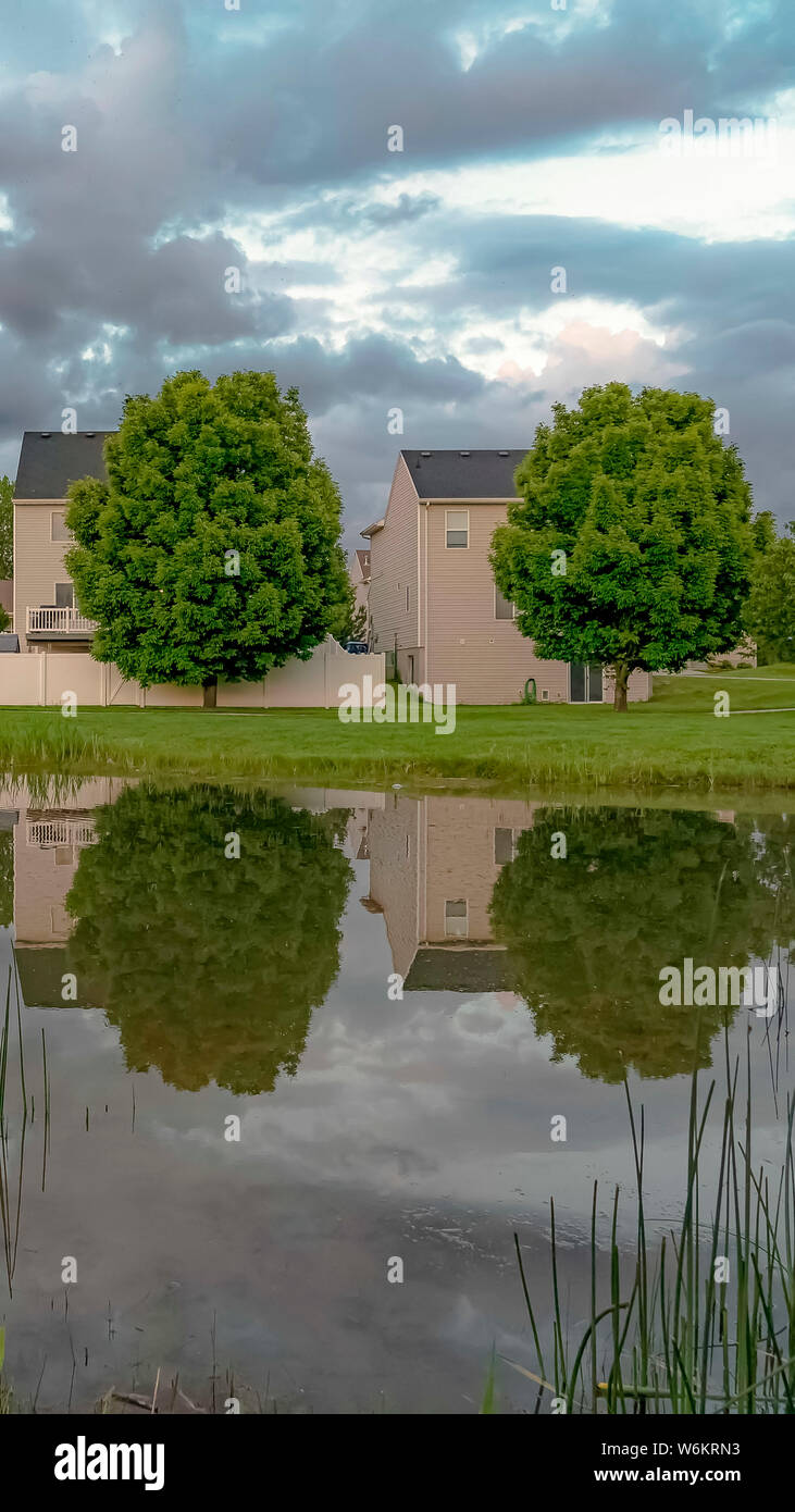 Vertical Pond with reflection of multi storey homes lush trees and ...