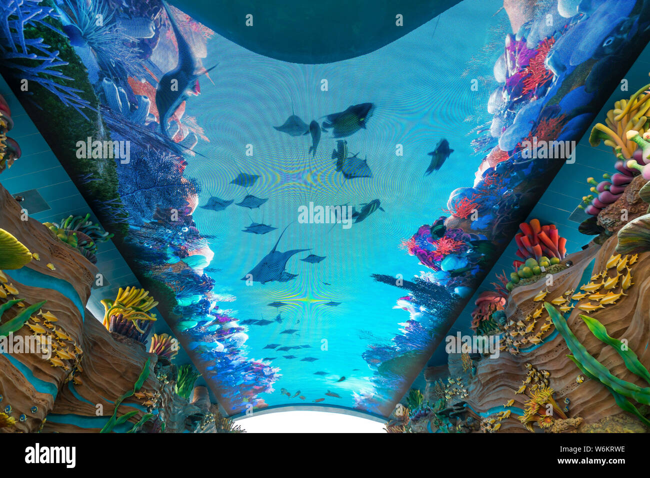 View of a huge LED screen displaying videos of marine life at the ...