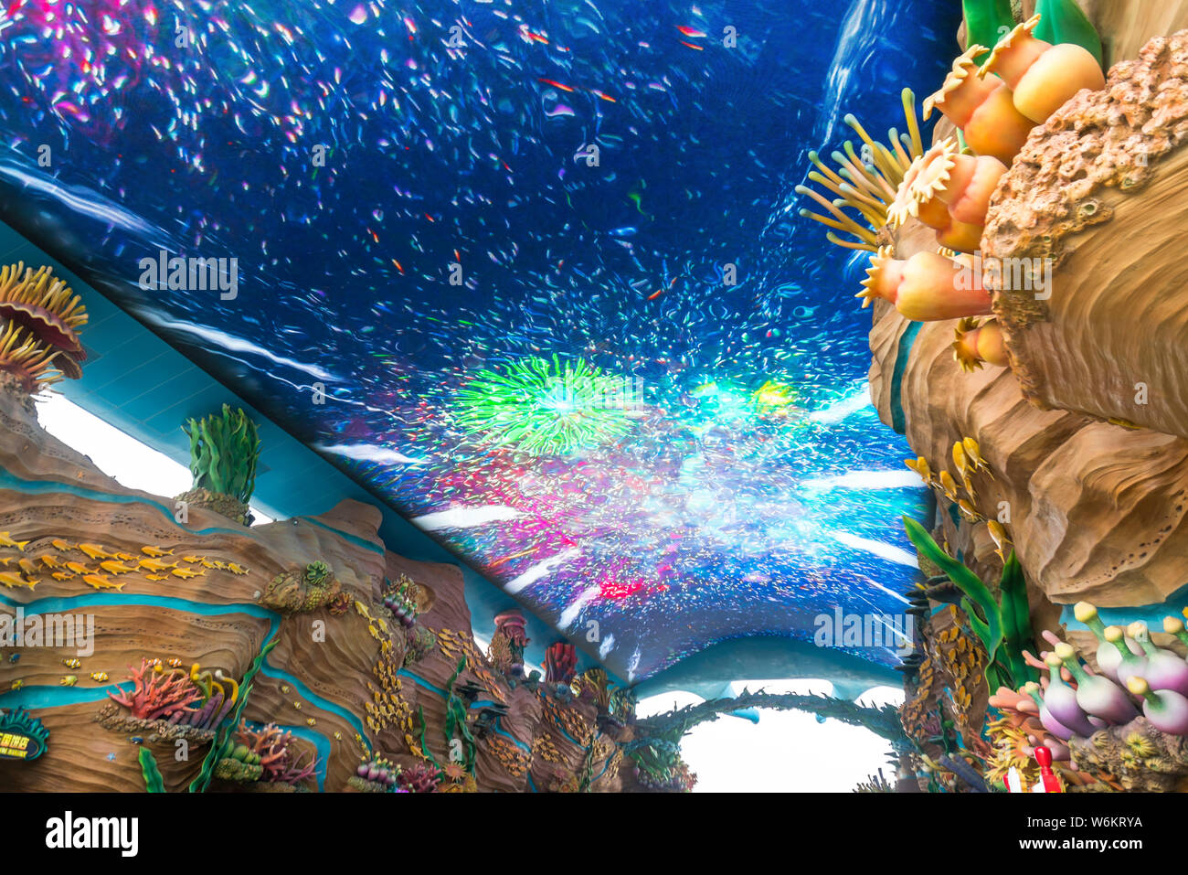 View of a huge LED screen displaying videos of marine life at the ...