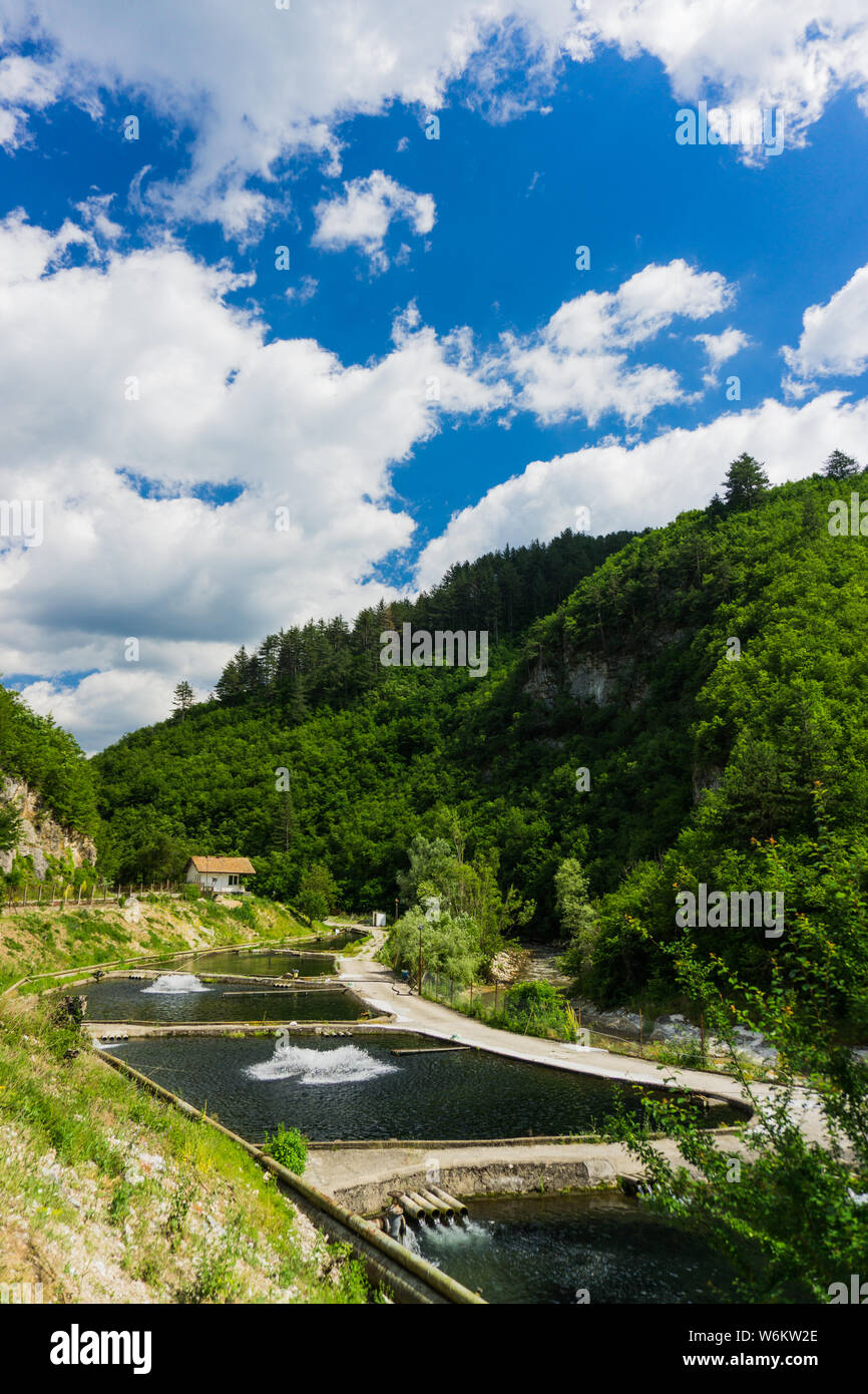 FISH BREEDER POOLS FOR BALKAN AND RAINBOW TROUT IN BULGARIA Stock Photo ...