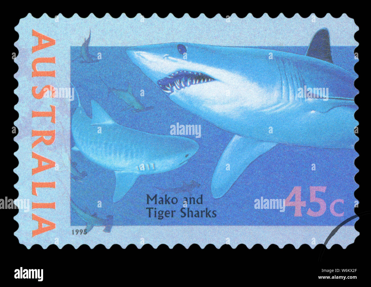 Australia under the sea hi-res stock photography and images - Alamy