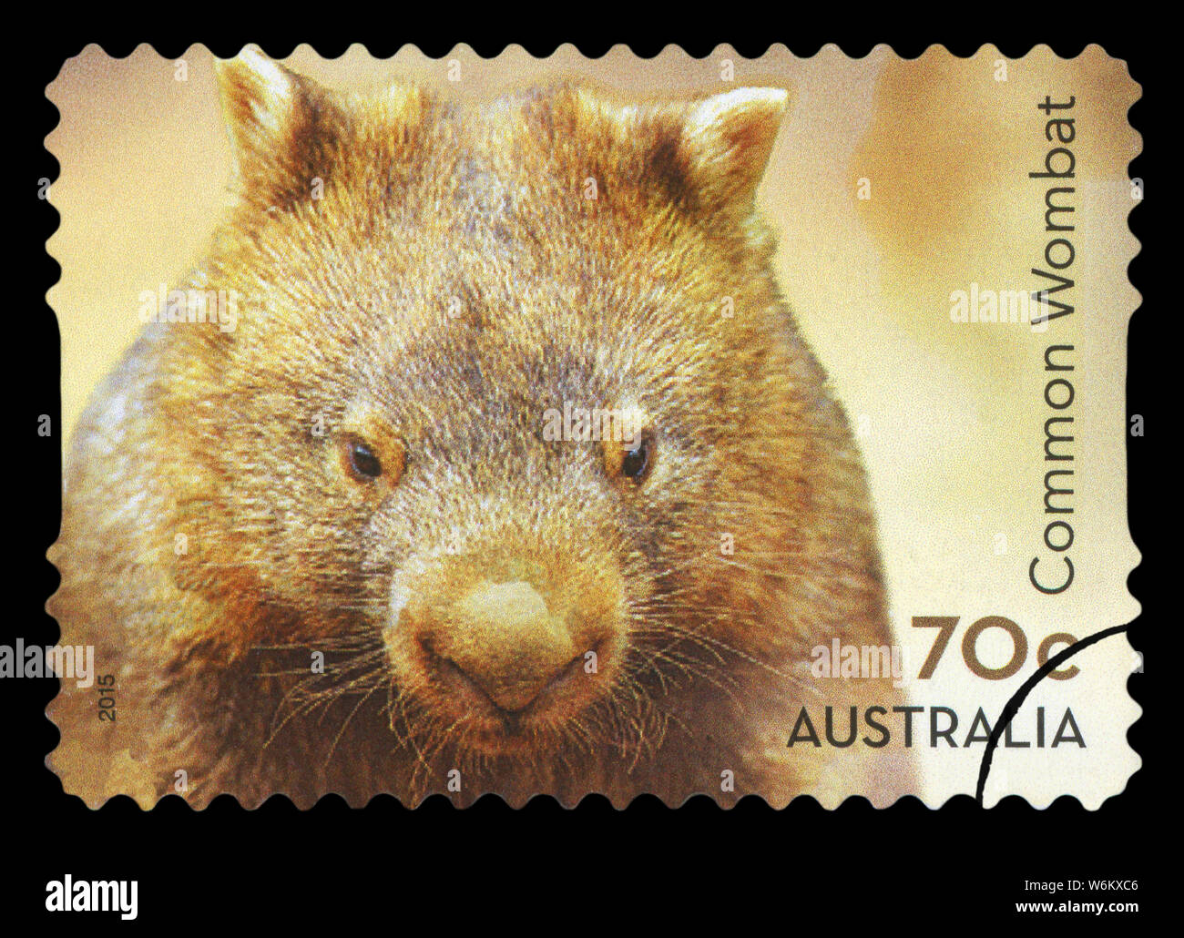 AUSTRALIA - CIRCA 2015: A stamp from Australia shows image of a Common ...