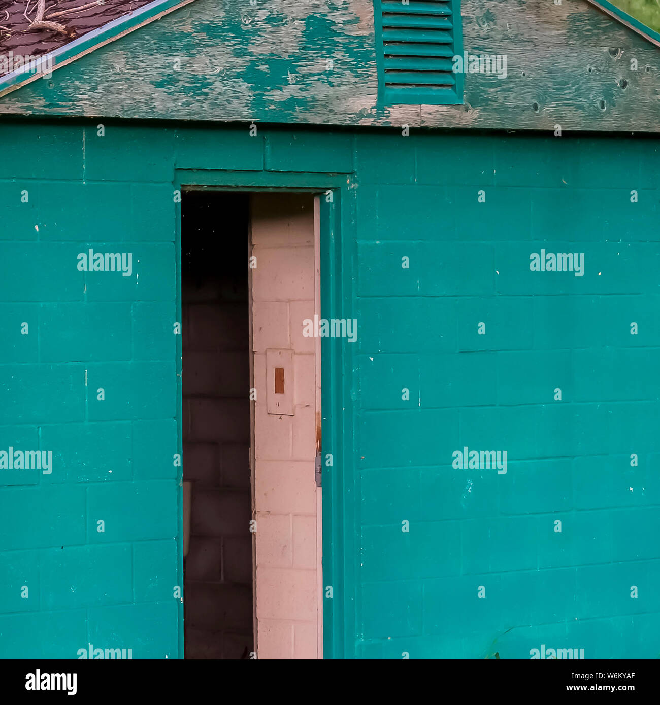 Tall trees green shed hi-res stock photography and images - Alamy