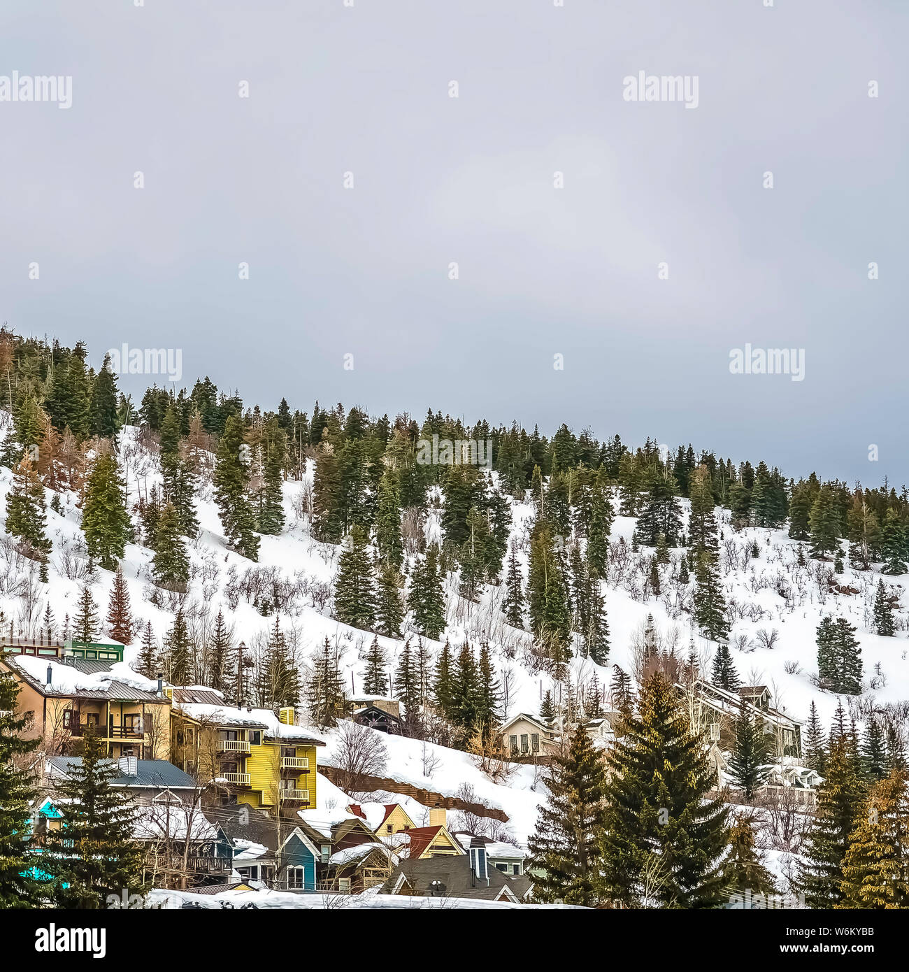 Square frame Mountain with colorful homes and coniferous trees on its ...