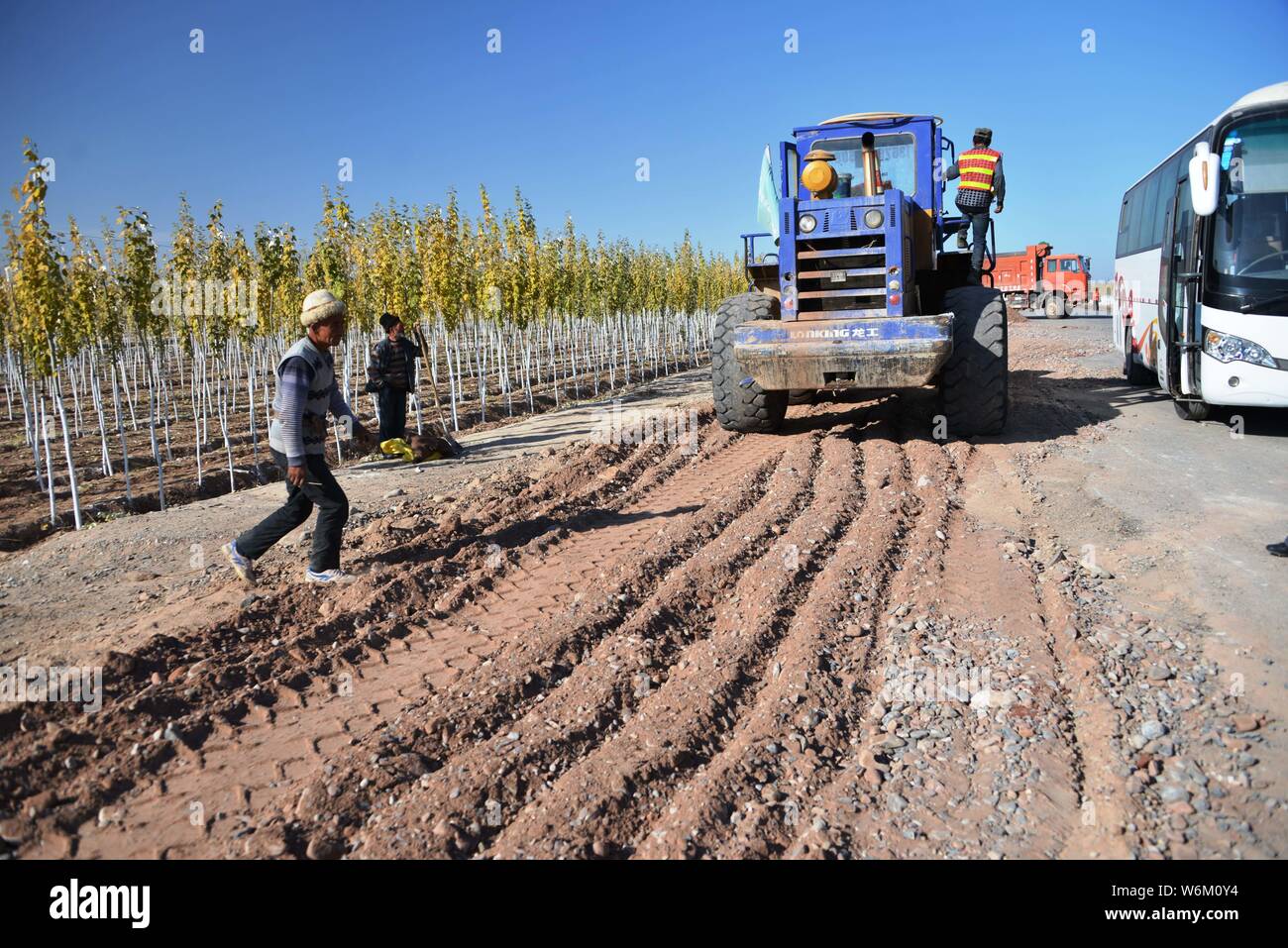 --FILE--Chinese workers pave the Qinghai-Xinjiang Highway, also known as the China National ...