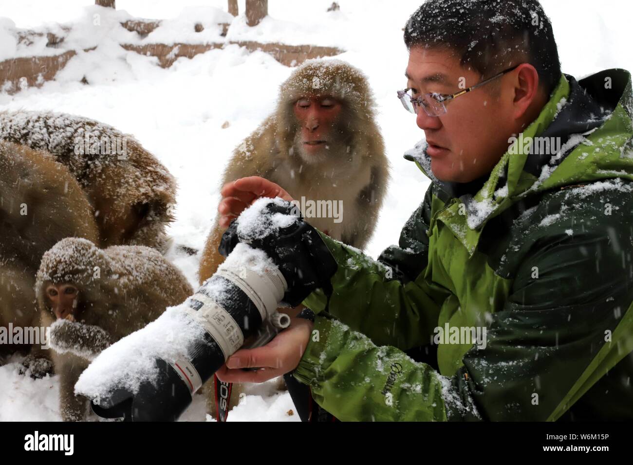 Snow monkey resort hi-res stock photography and images - Alamy