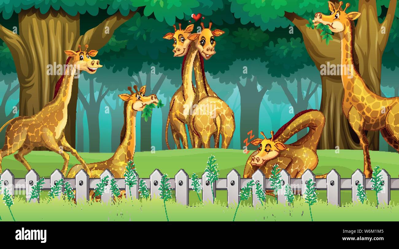 Giraffes in wood scene illustration Stock Vector Image & Art - Alamy