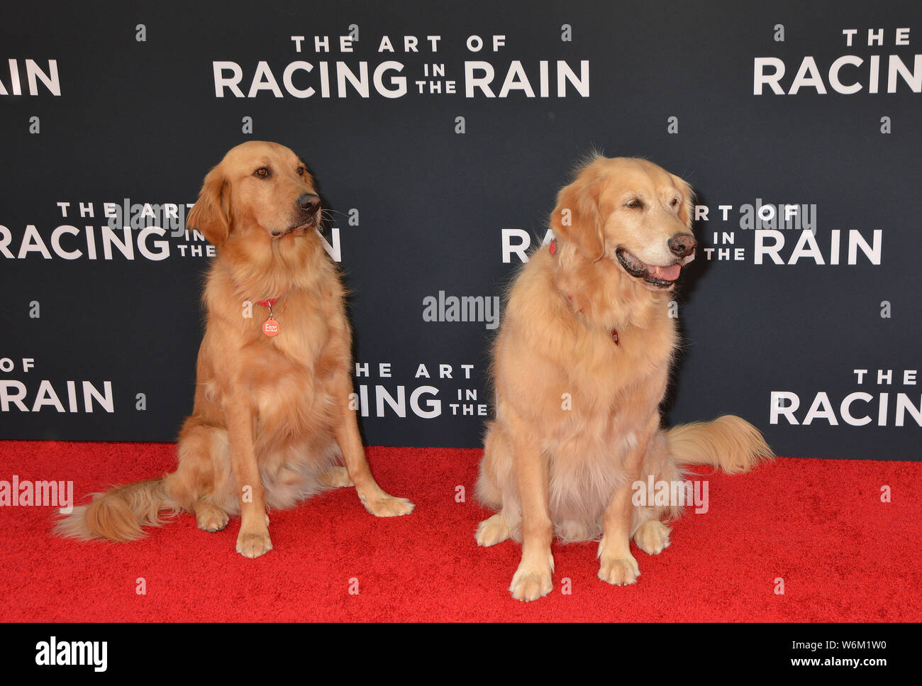 Los Angeles, USA. 02nd Aug, 2019. Enzo and older Enzo attends the ...
