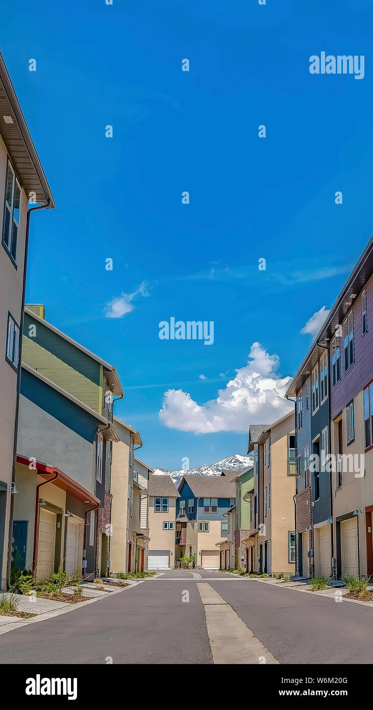 Vertical frame Rows of houses with paved road in the middle under blue ...