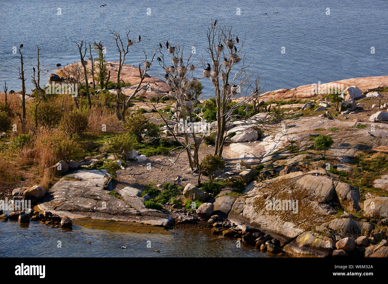 aerial view on scandinavian skerry coast Stock Photo - Alamy