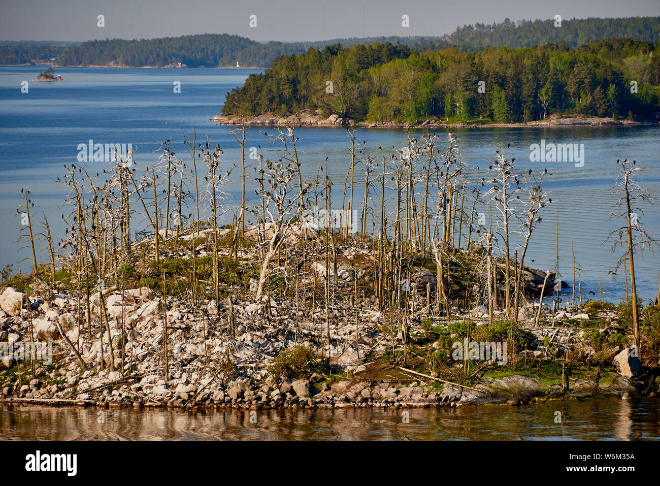 aerial view on scandinavian skerry coast Stock Photo - Alamy