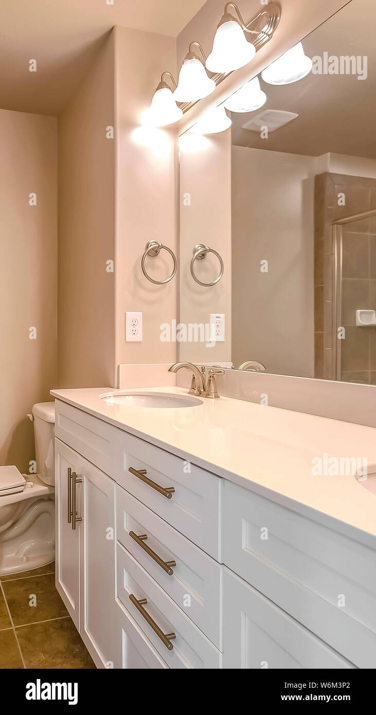 Vertical Vanity with double sink adjacent to the toilet inside a well ...