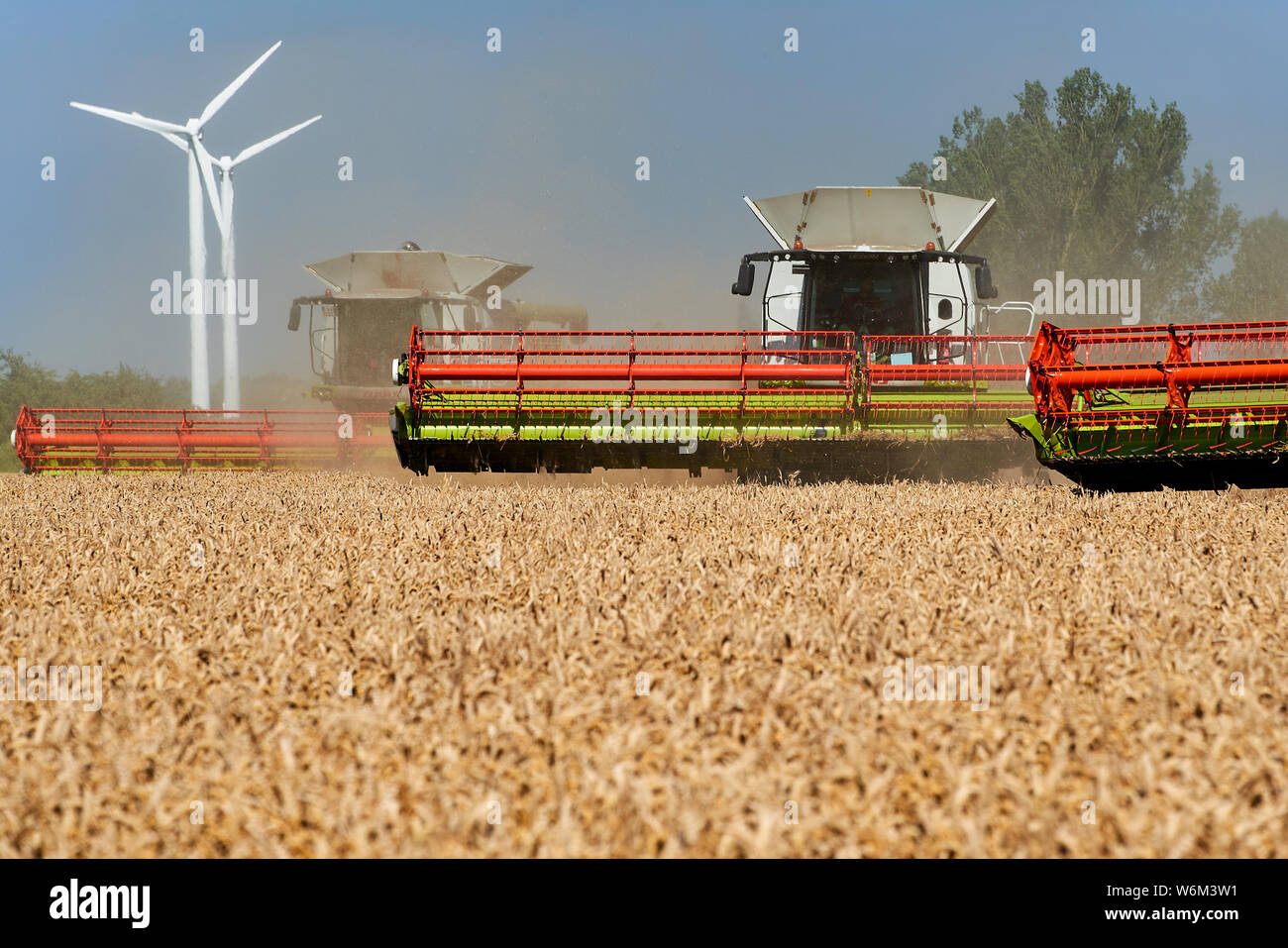 two harvester unloading corn on tractor Stock Photo - Alamy