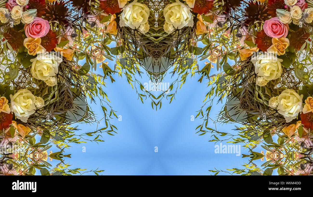 Panorama frame Floral design with interesting angles and colorful ...