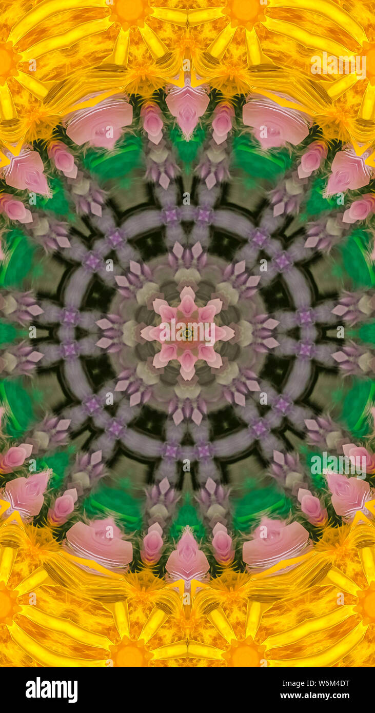 Boa circle hi-res stock photography and images - Alamy