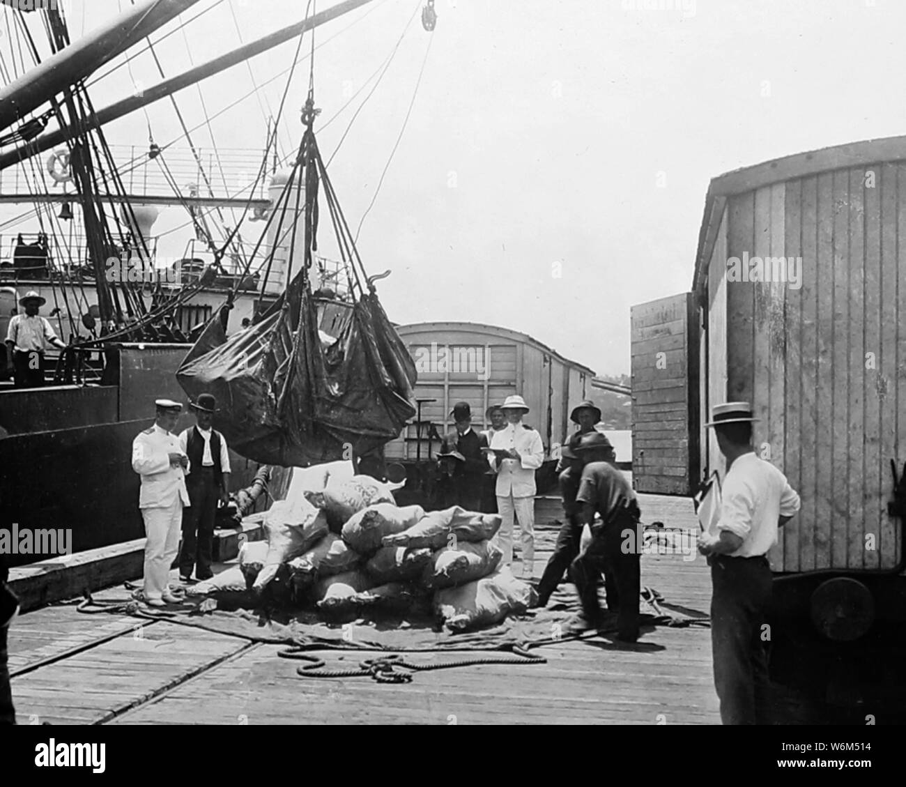 Loading beef for export, Brisbane Docks, Australia Stock Photo - Alamy