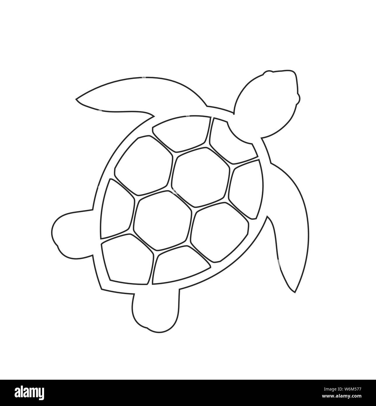 Sea Turtle Line Icon Vector Illustration Stock Vector Image And Art Alamy