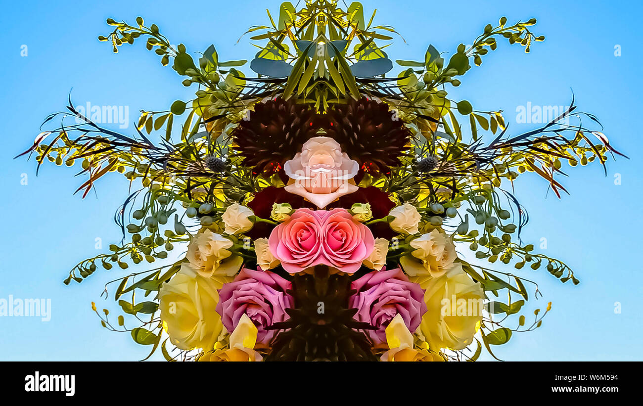 Panorama Leaves and roses in colorful floral design Stock Photo - Alamy