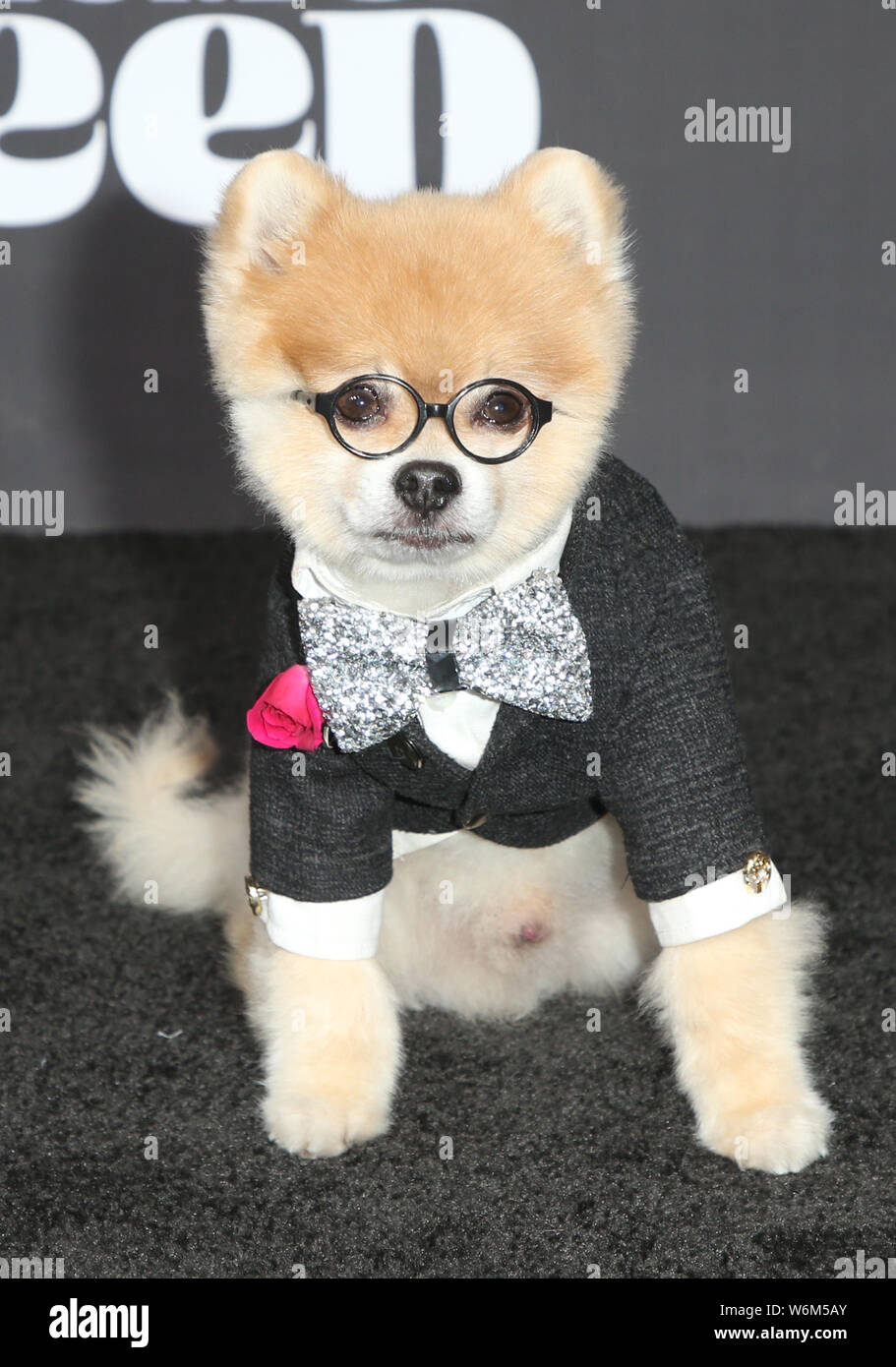 Los Angeles, Ca. 1st Aug, 2019. Bentley The Pom, at The Weedmaps Museum ...