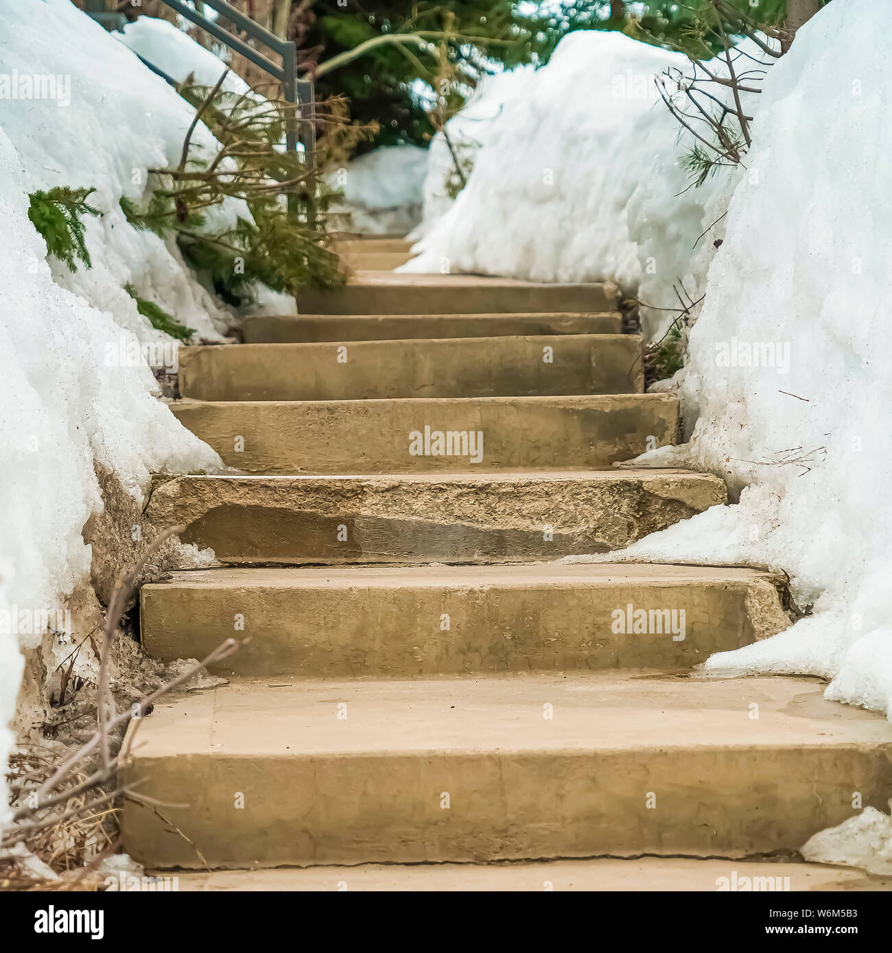 Square frame Close up of concrete outdoor steps on a slope covered with ...