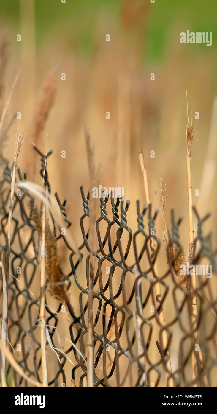 Vertical chain link fence hi-res stock photography and images - Alamy